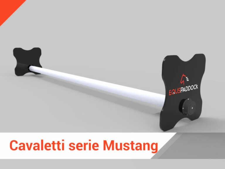 What are cavalettis used for? - Equspaddock