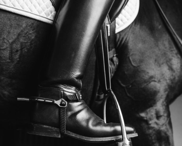 Complete Guide to Riding Spurs - Equspaddock